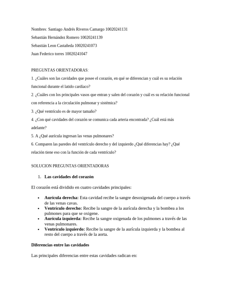 Informe Anatomia Del Corazon | PDF