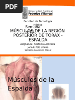 Músculos de La Nuca | PDF | Sistema musculoesquelético | Anatomía humana