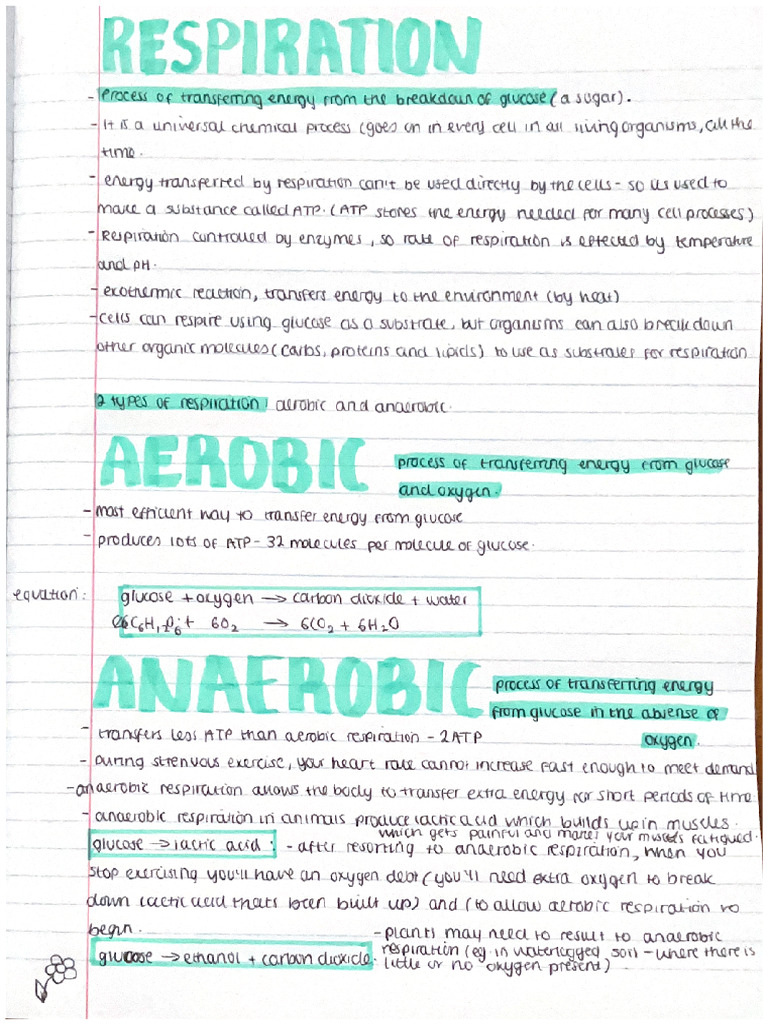 Respiration Aerobic and Anaerobic | PDF