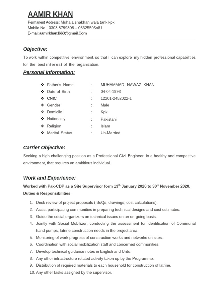 Aamir Khan CV | PDF