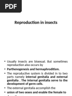 Reproductive System of Frog | PDF | Testicle | Sperm