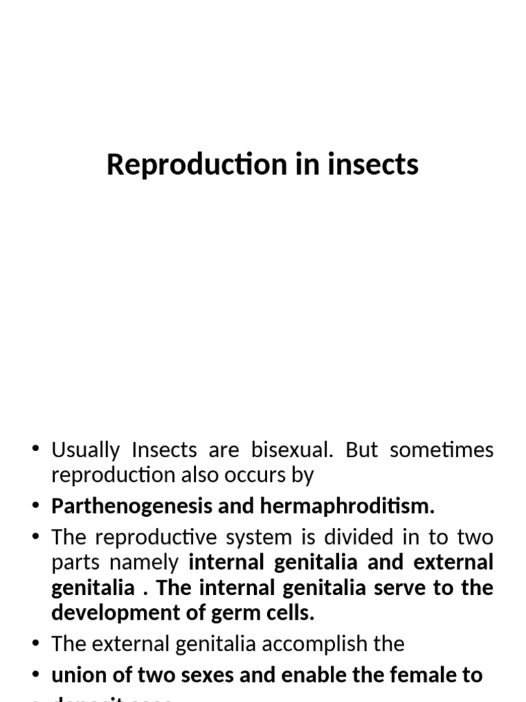 Reproduction in Insects | PDF | Testicle | Home & Garden