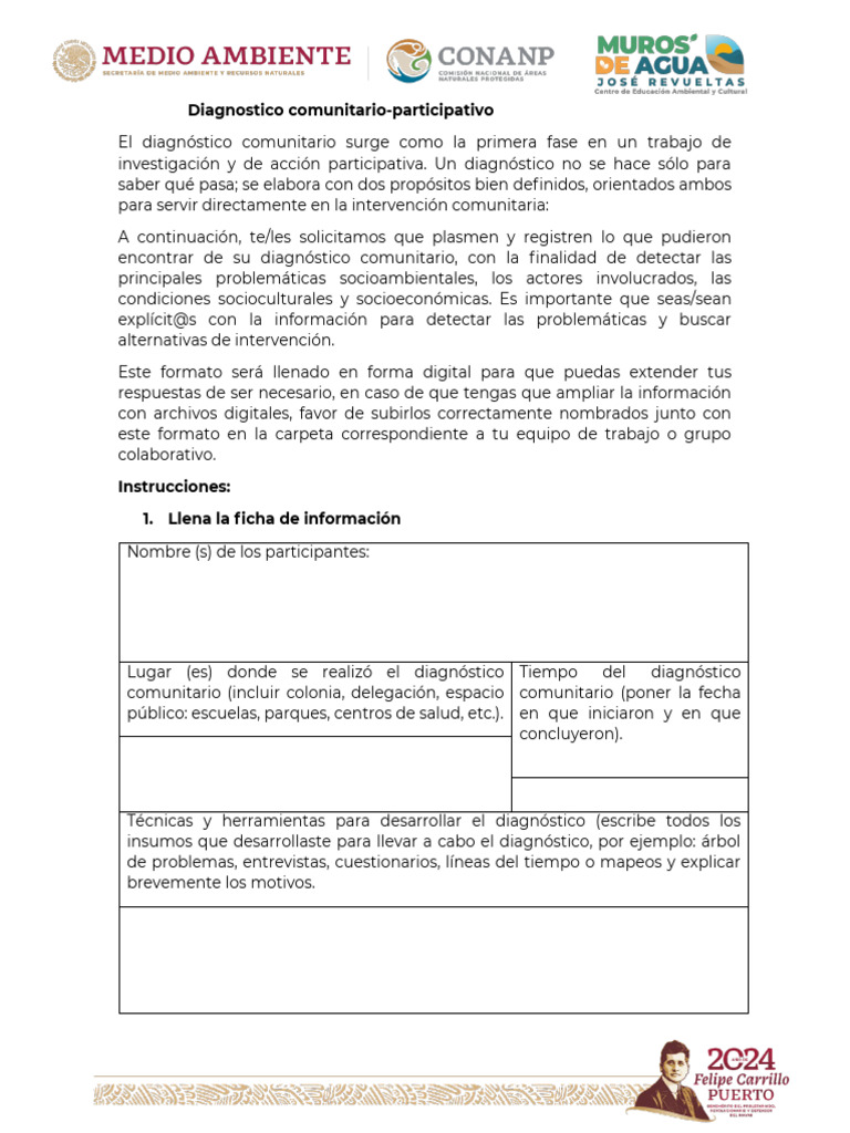 formato de diagnostico- | PDF