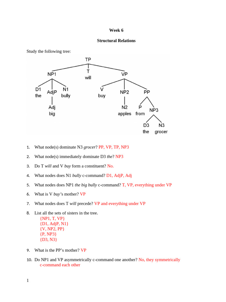 Week6 - Answer Key | PDF