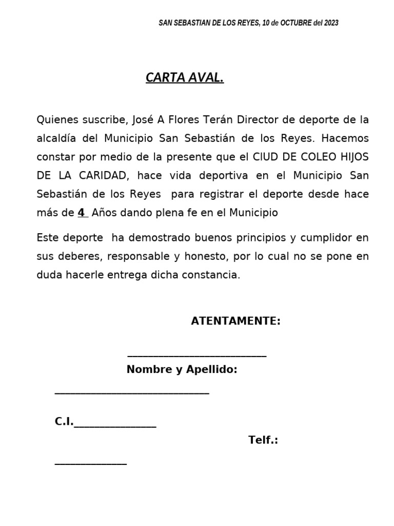 Formato Carta Aval | PDF