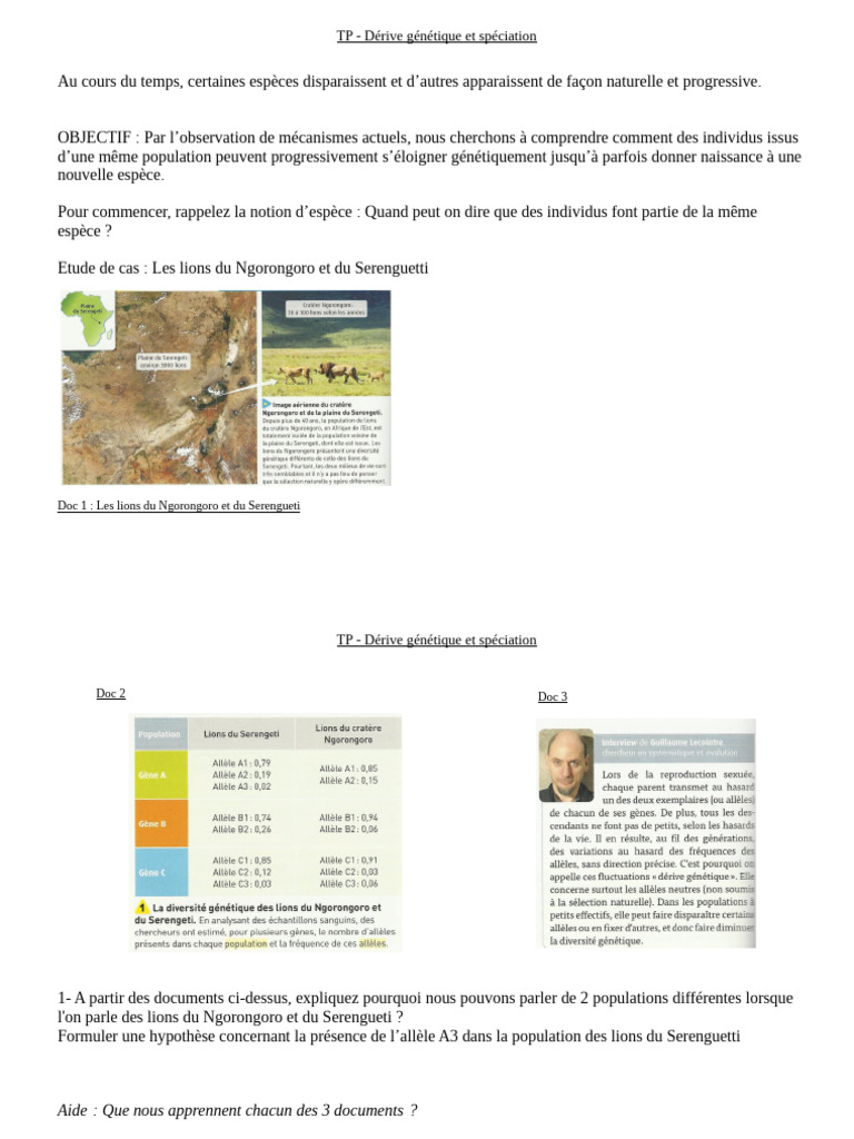 TP1-4 LIONS Dérive génétique et spéciation | PDF