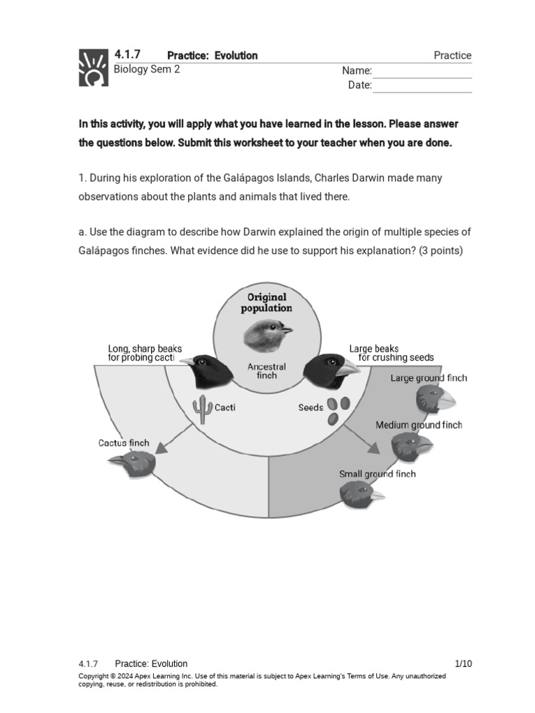4.1.7 Practice - Evolution (Practice) | PDF