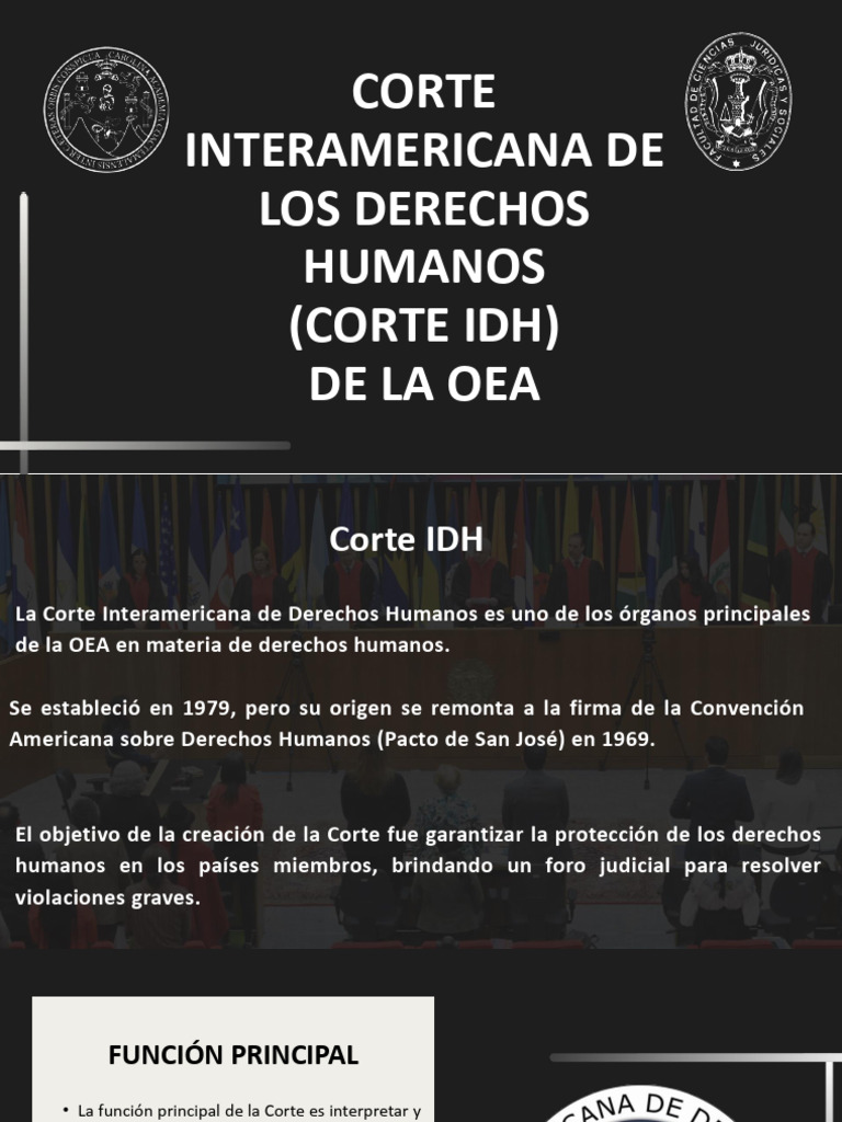 Corte Interamericana de Los Derechos Humanos | PDF