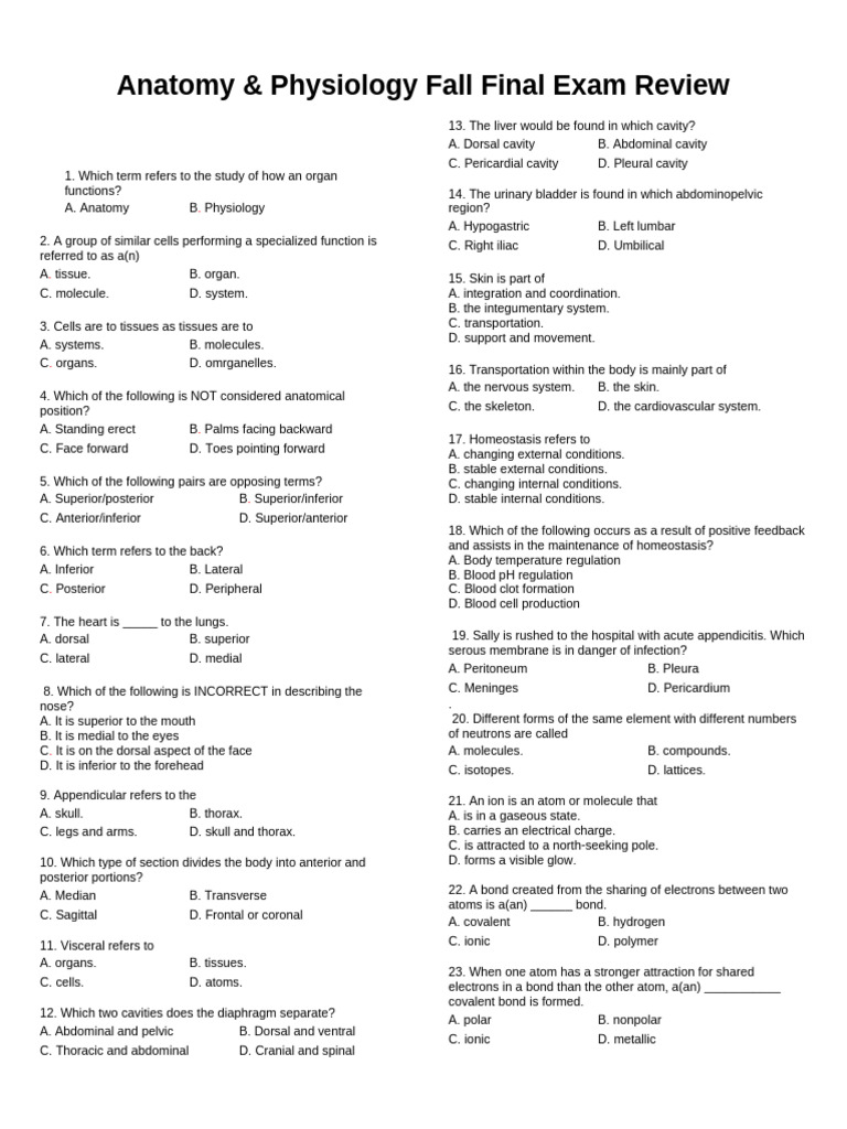 Anatomy Review 1-1 | PDF
