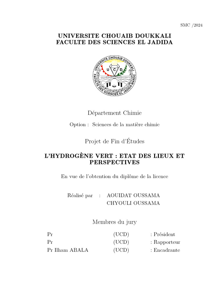 PFE Oussama Copy | PDF