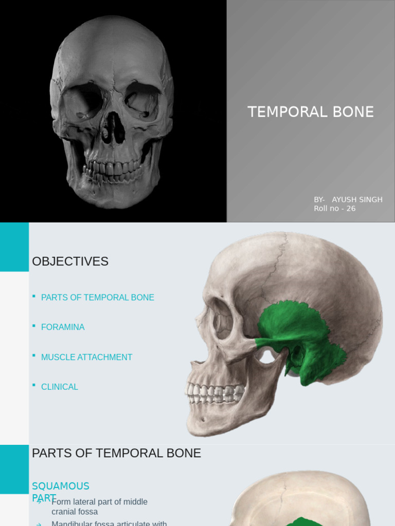 Temporal | PDF