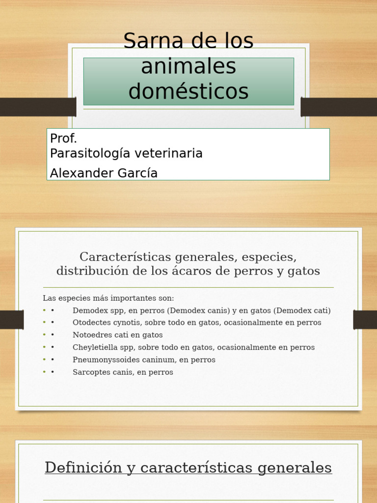 Sarna de Los Animales Domésticos | PDF