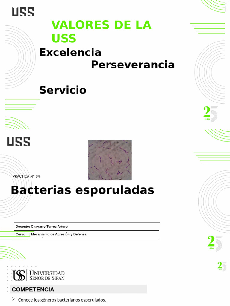 Me5-Práctica 4 Mecanismos - Bacterias Esporulada | PDF | Las bacterias | Bacilo