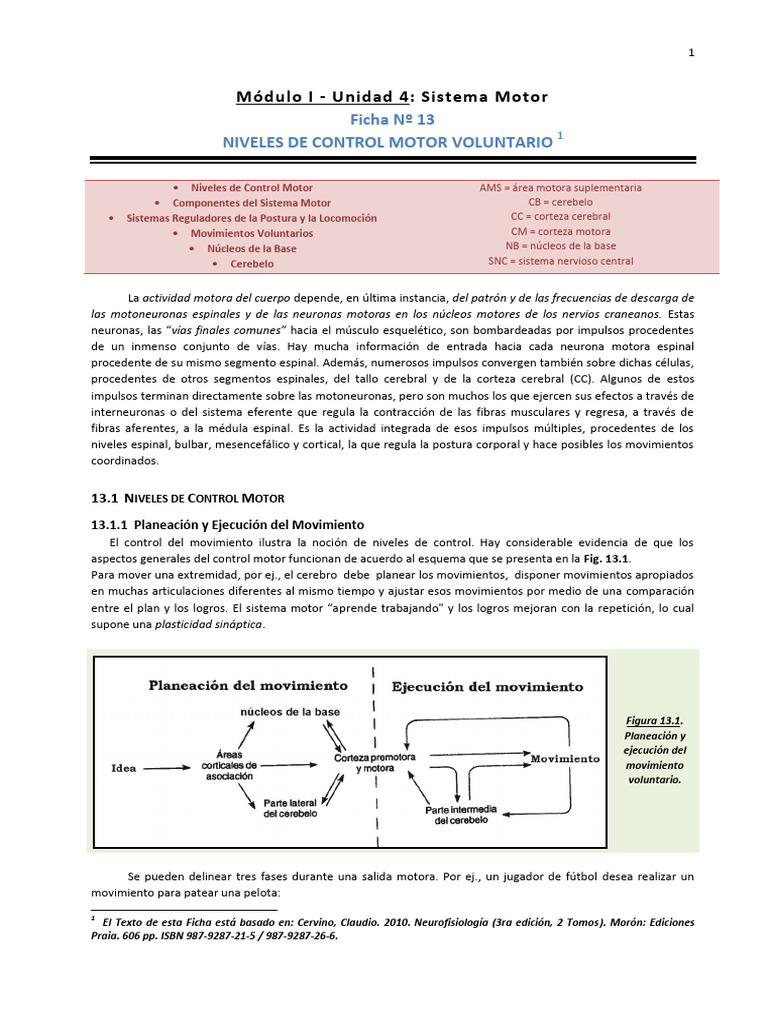 4 - Niveles de Control Motor Voluntario | PDF