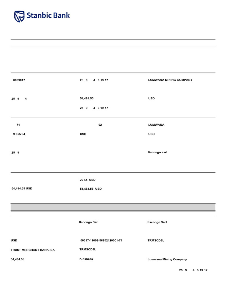 Payment Transaction Report | PDF
