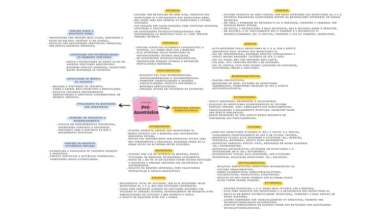 Mapa Mental Cap.2 Giovanna | PDF