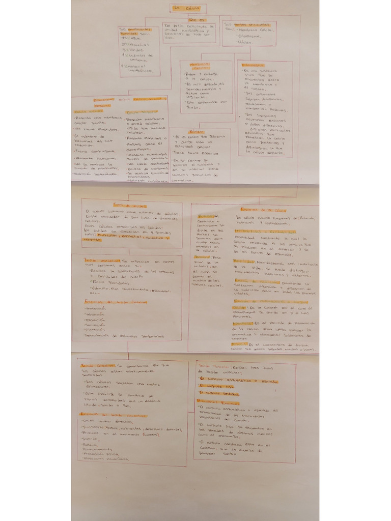 Mapa conceptual Bryan Blanco | PDF