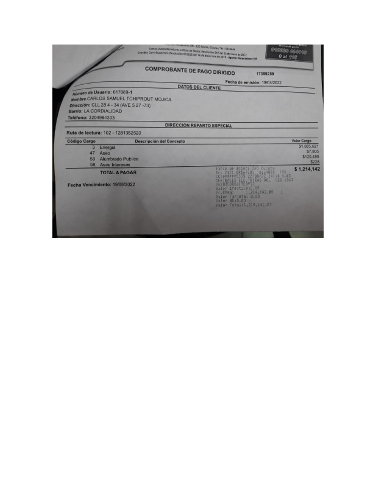 Pago | PDF