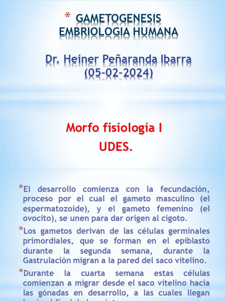 Morfo Fisiologia - 1s Gametogenesis | PDF