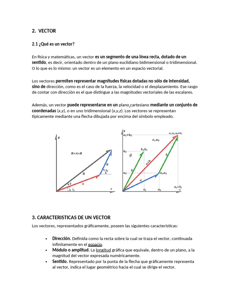 Vector Es | PDF