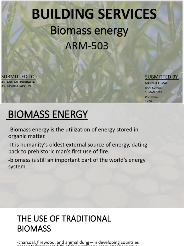 Biomass | PDF