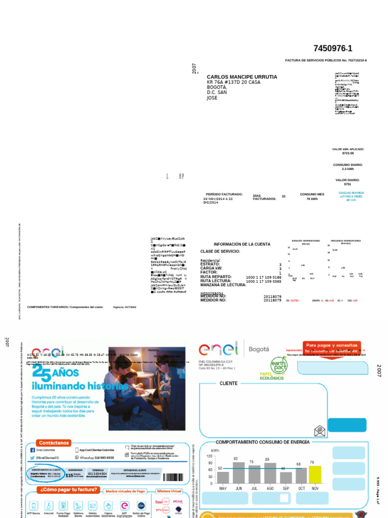 Factura Enel enero 2014 | PDF