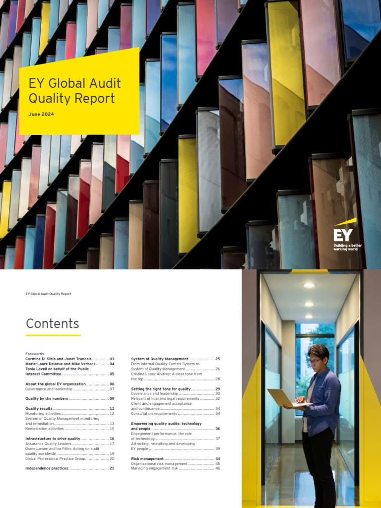 EY Global Audit Quality Report 2024 | PDF | Audit | Regulatory Compliance
