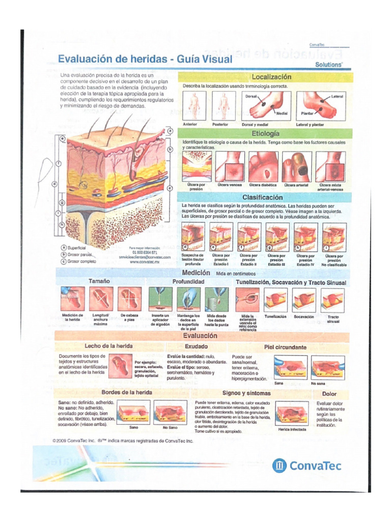 Evaluación de Heridas - Guía Visual | PDF