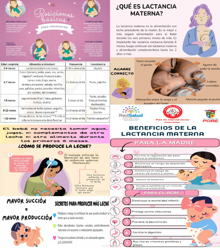 Material Educativo Lactancia Materna | PDF