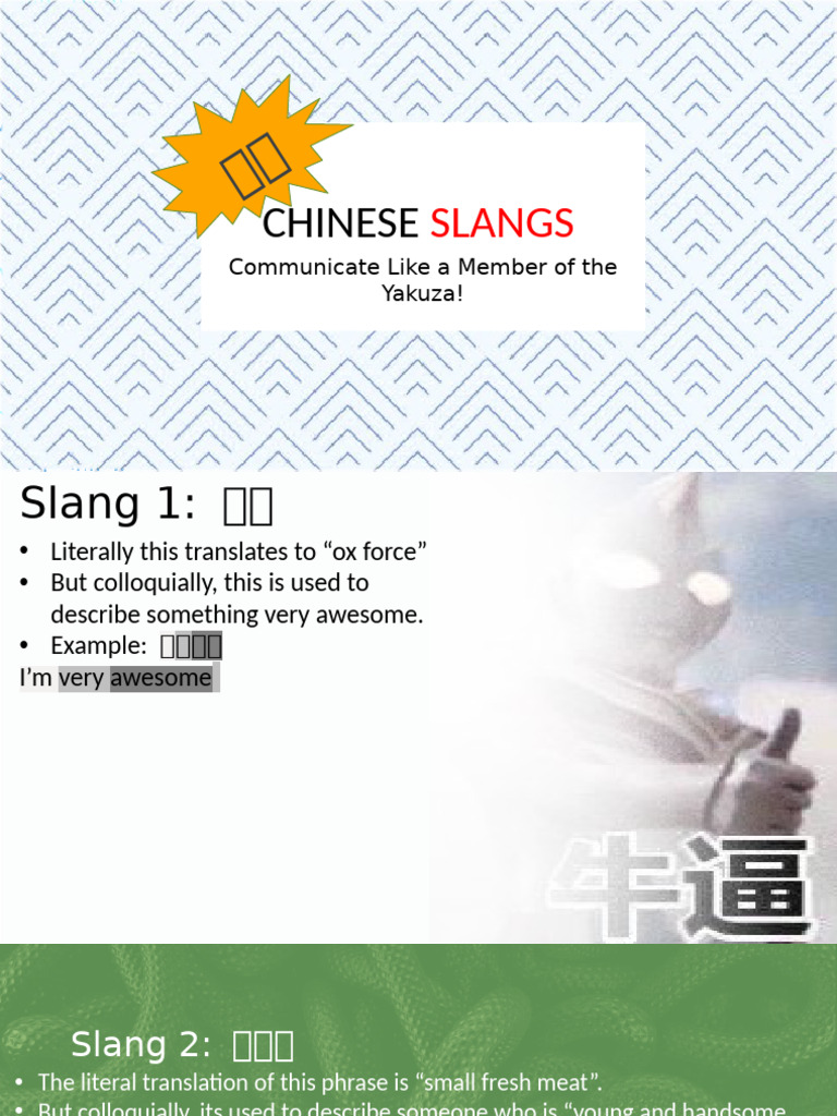 Chinese Slangs | PDF