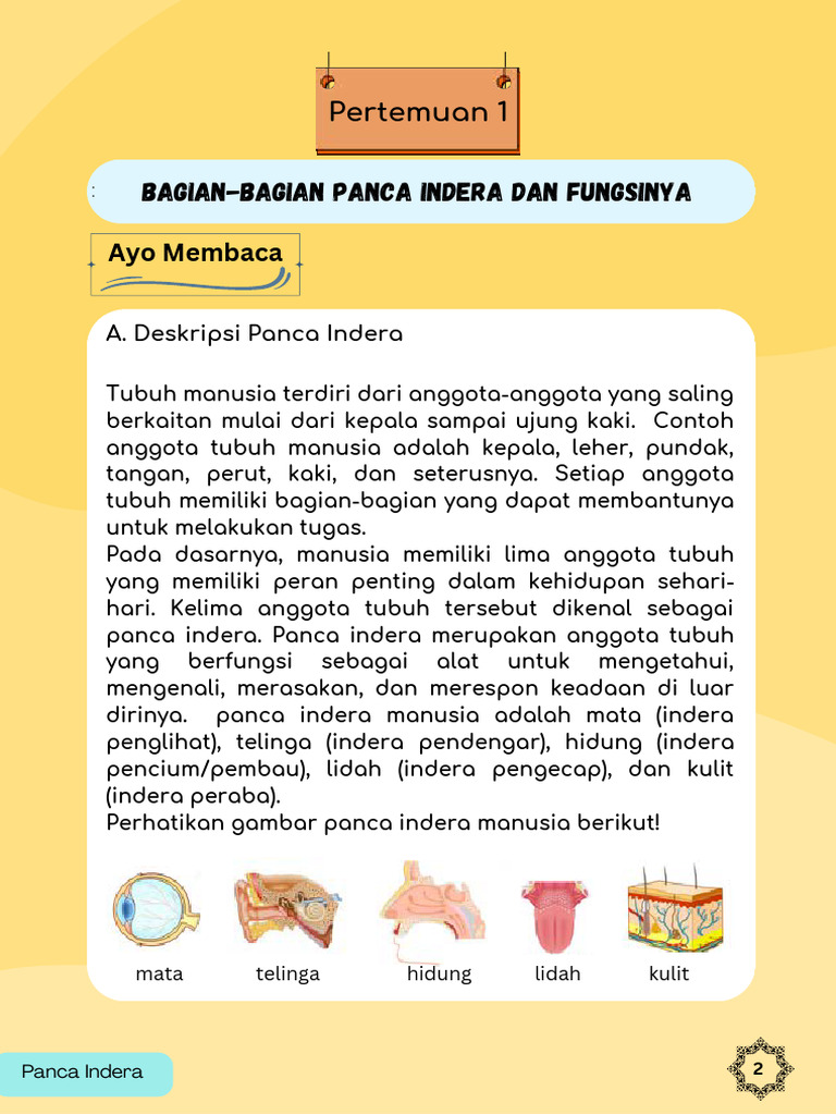 Materi Panca Indera 1 | PDF