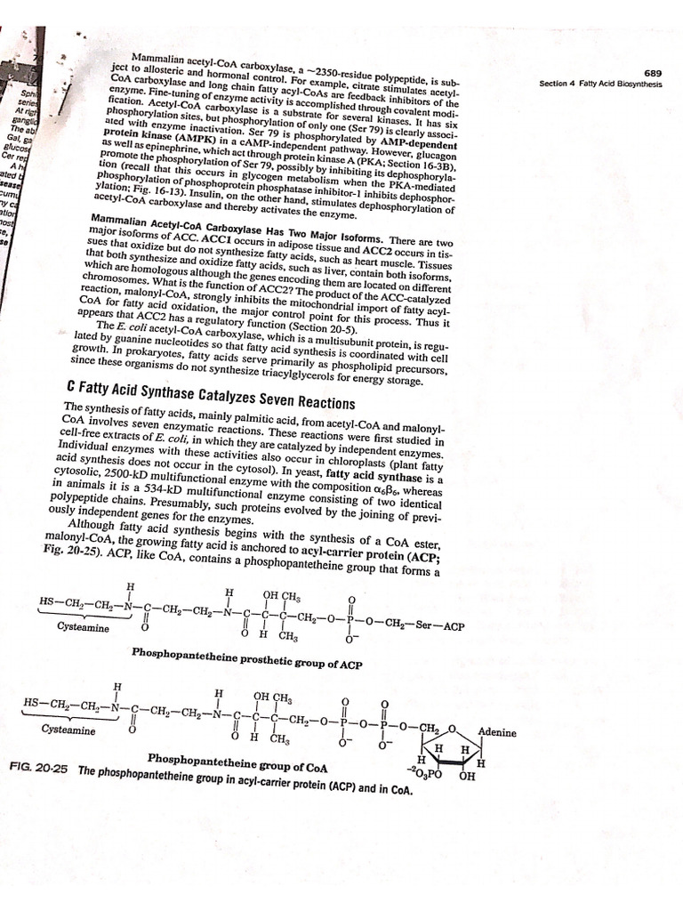 FA Synthesis | PDF