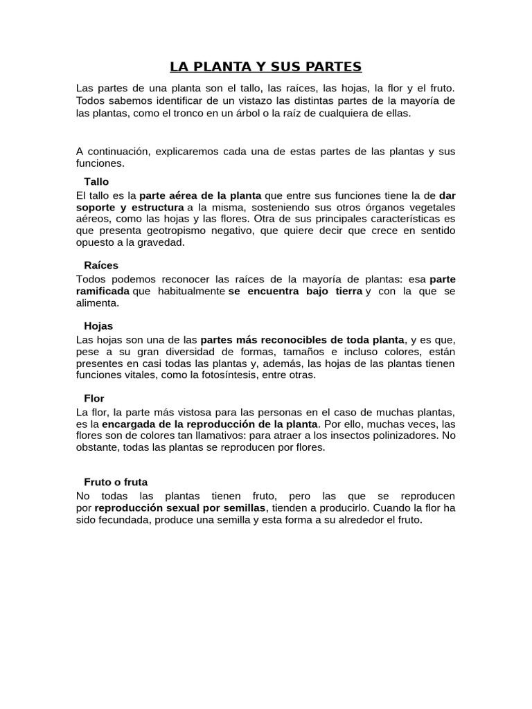 La Planta y Sus Partes | PDF
