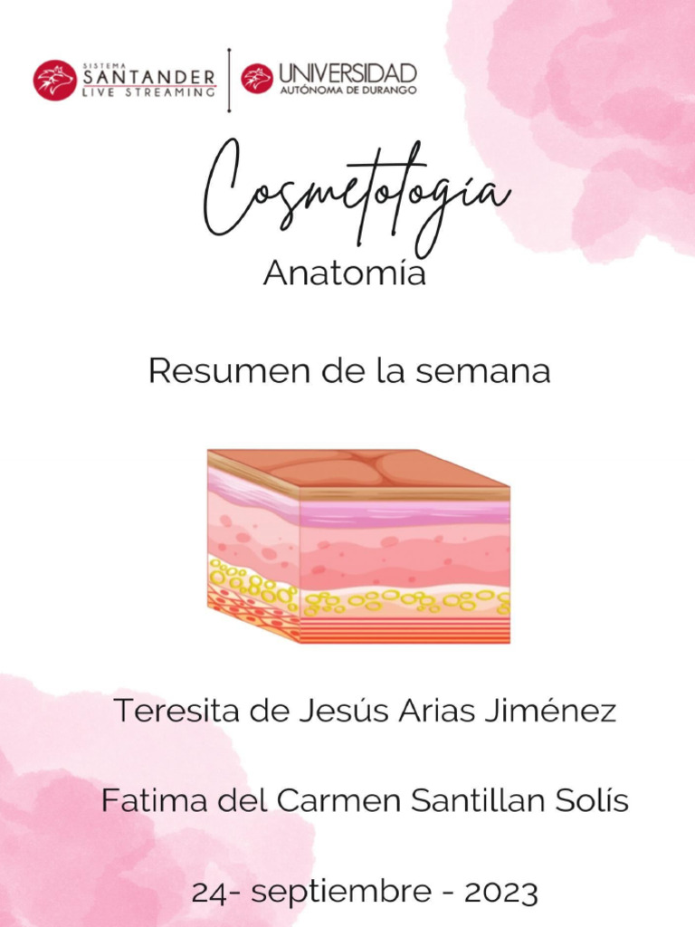 Glándulas de Secreción Interna. Piel | PDF