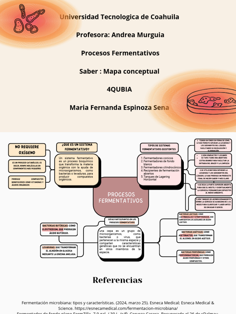 Mapa Conceptual U1 | PDF | Fermentación | Biología