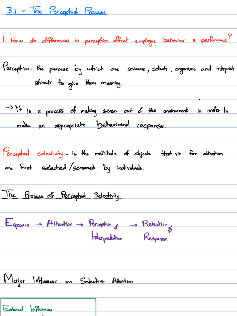 Chapter 3 - Perception & Job Attitudes | PDF