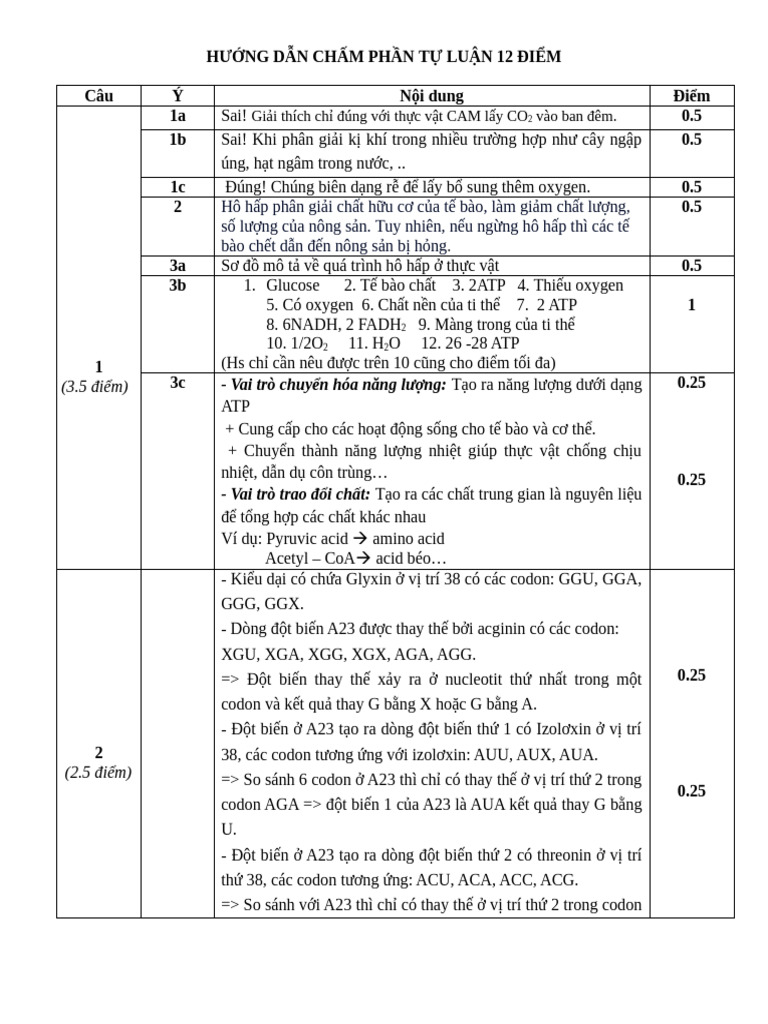 Đáp Án HSG 1-TL | PDF