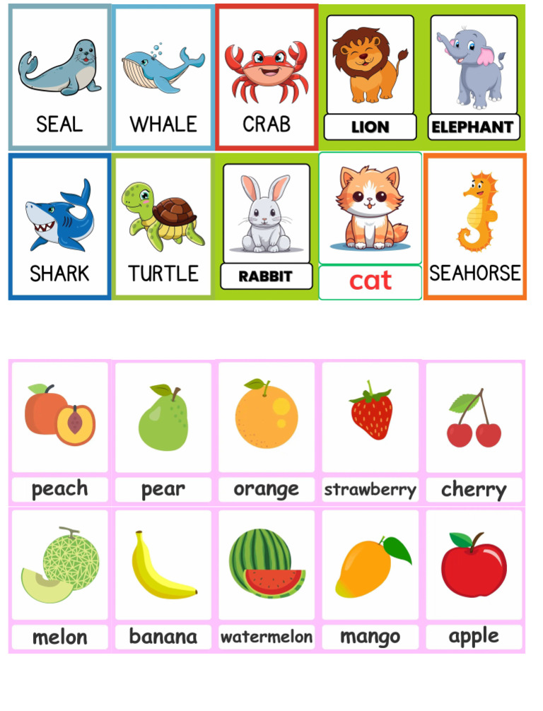 Flash Card Animals and Fruits | PDF