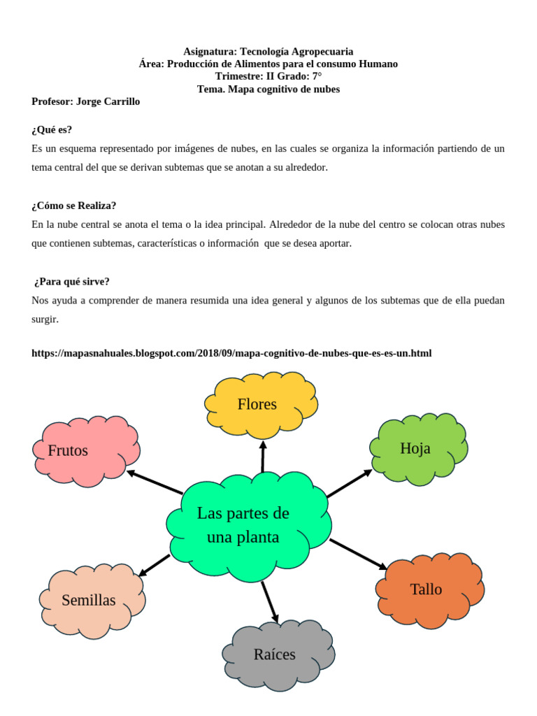 Mapa Cognitivo Tipo Nube | PDF