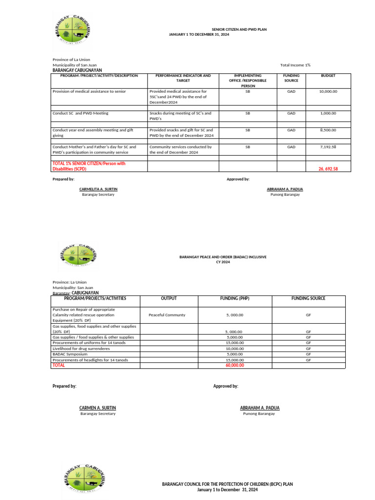 Barangay Budgeting 2024 | PDF