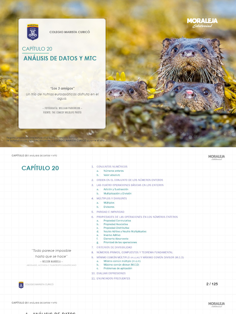 Análisis de Datos y MTC - Presentación 2023 | PDF