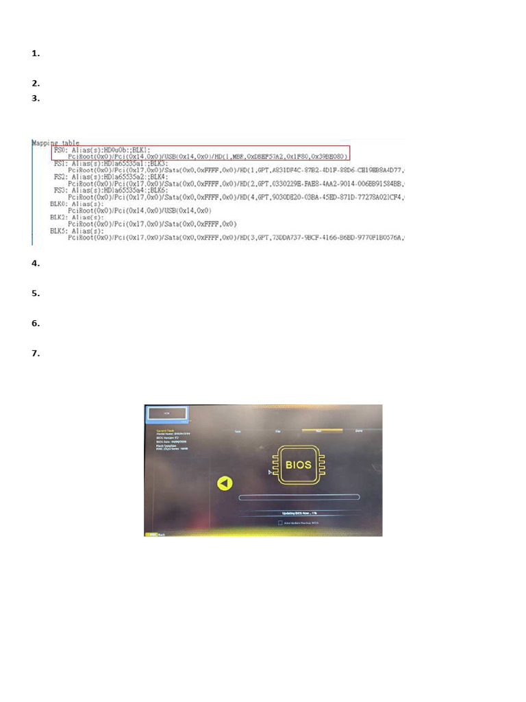 Bios Flash Eflilasplh SOP | PDF