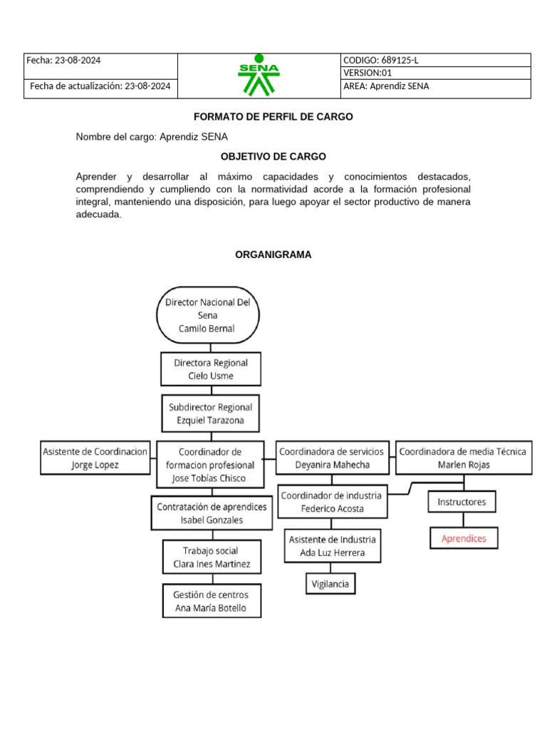 Formato de Perfil de Cargo 1 | PDF
