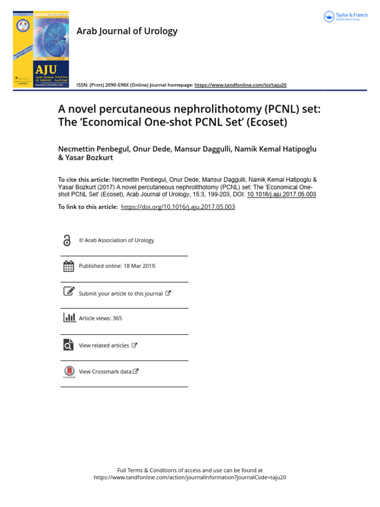 A Novel Percutaneous Nephrolithotomy PCNL Set The Economical One Shot ...