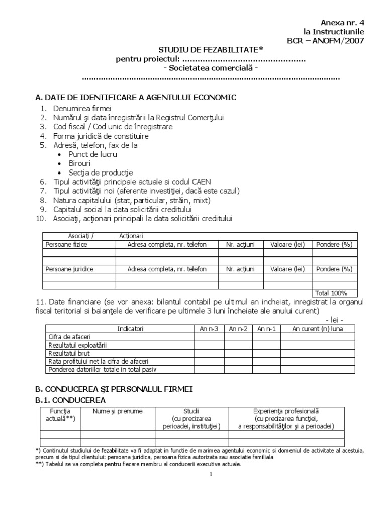 studiu de fezabilitate