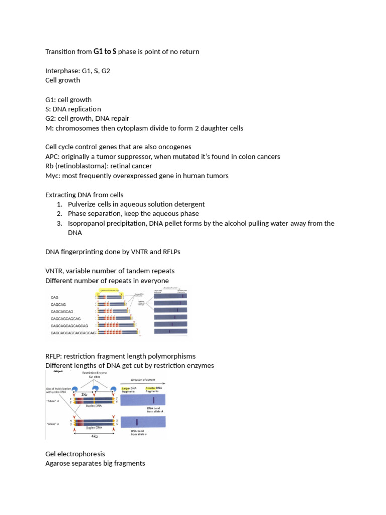 Dna PT 3 Study Guide | PDF
