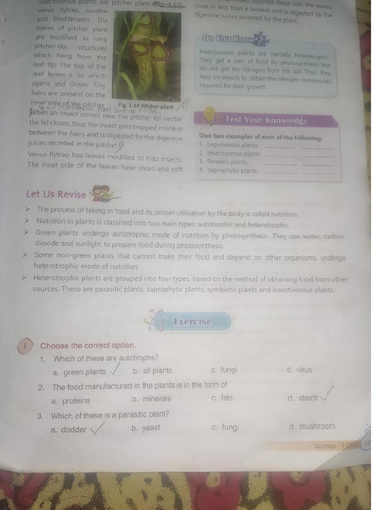 Science Quiz 7 Class | PDF