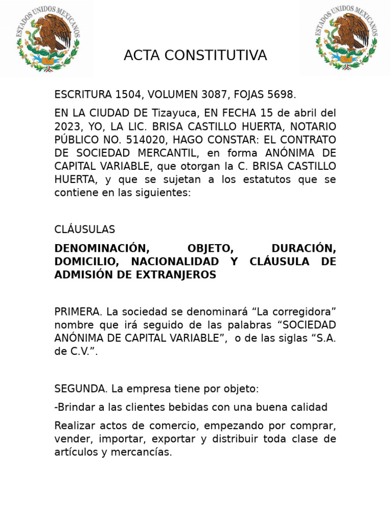 Acta Constitutiva Bri Completa | PDF