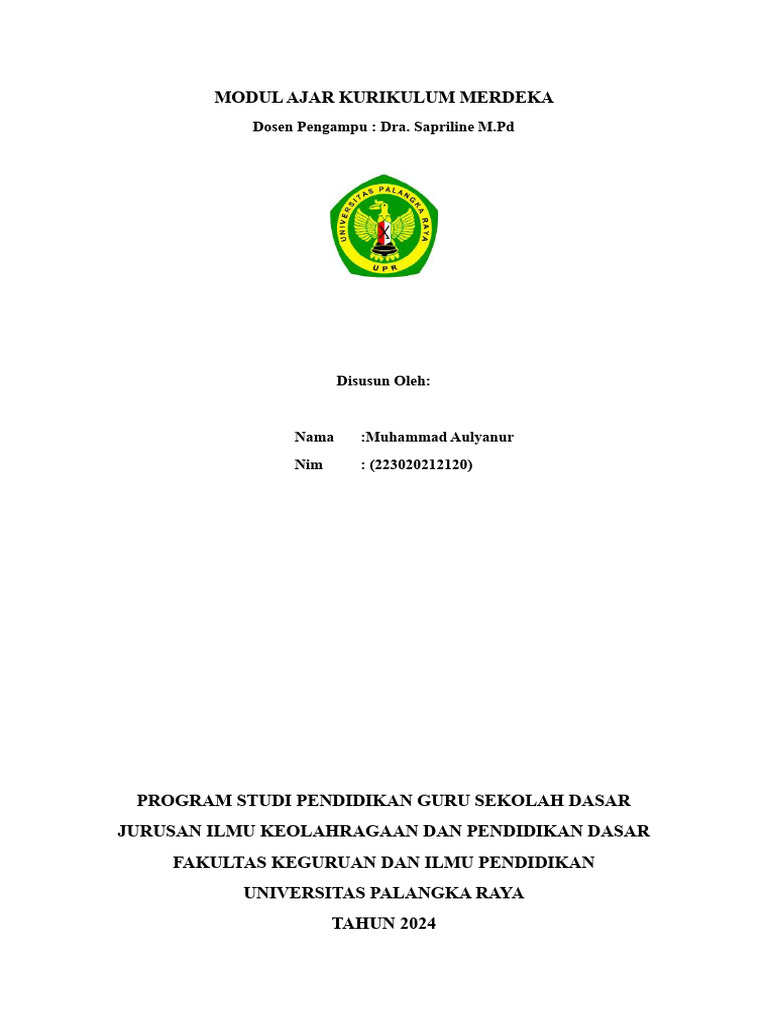 Modul Micro Aulyanur | PDF