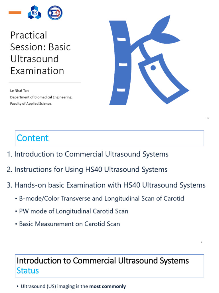 Practical Session: Basic Ultrasound Examination | PDF
